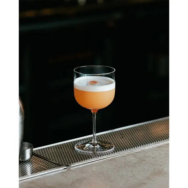 RICHARD BRENDON Cocktail Classic Nick & Nora Glass, Set Of 2