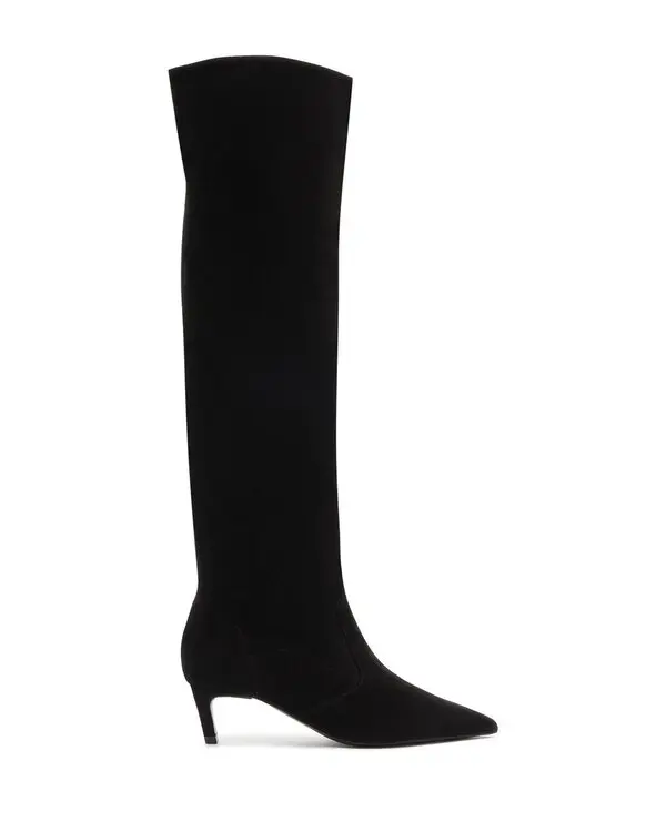 Schutz Odessa Suede Over-the-knee Boots