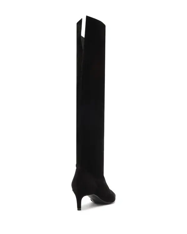 Schutz Odessa Suede Over-the-knee Boots
