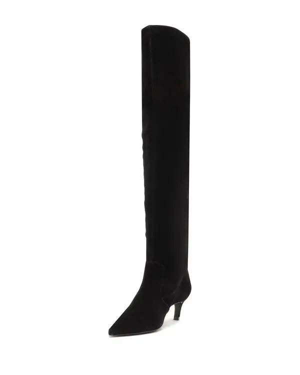 Schutz Odessa Suede Over-the-knee Boots