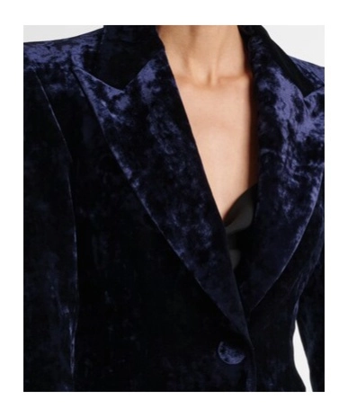 Alex Perry Velvet Blazer
