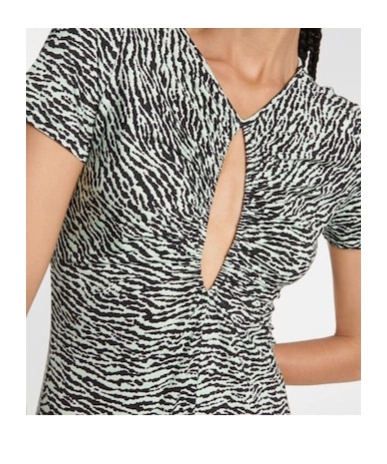 Proenza Schouler Zebra-print Keyhole Maxi Dress