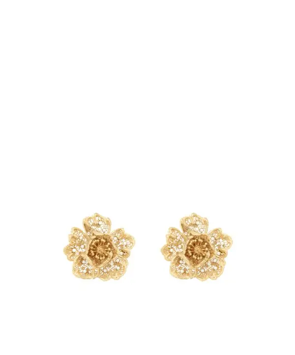 Dior Tribales Earrings