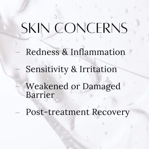 DERMAL ELIXIR Repairing Treatment Mask