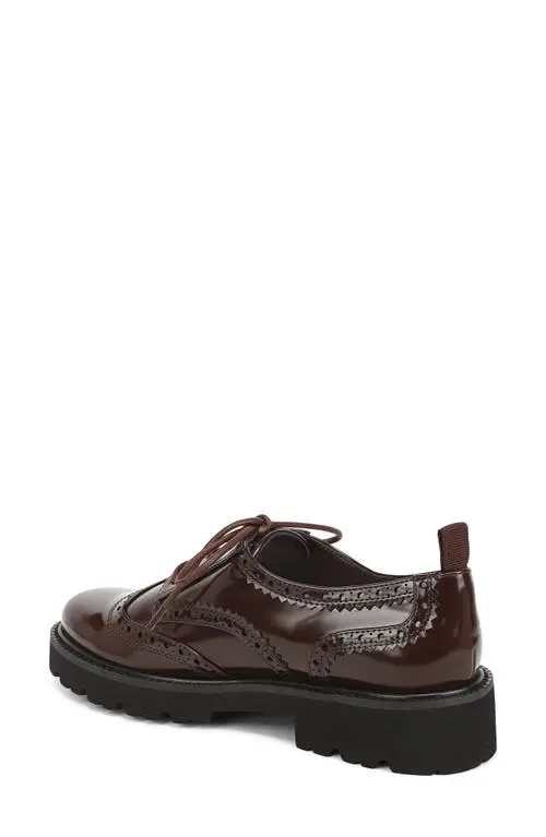 Franco Sarto Subria Wingtip Oxford - Dark Brown