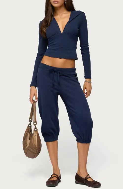 EDIKTED Natashah Hooded Plunge Long Sleeve Crop Top