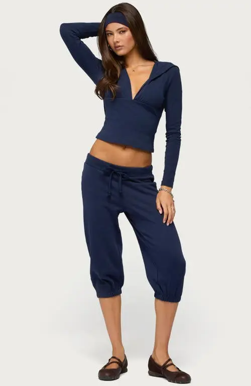 EDIKTED Natashah Hooded Plunge Long Sleeve Crop Top