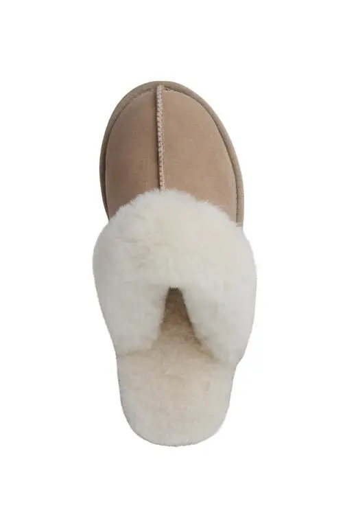 CELTIC & CO. Studio Fur Edge Mule Slippers - Camel