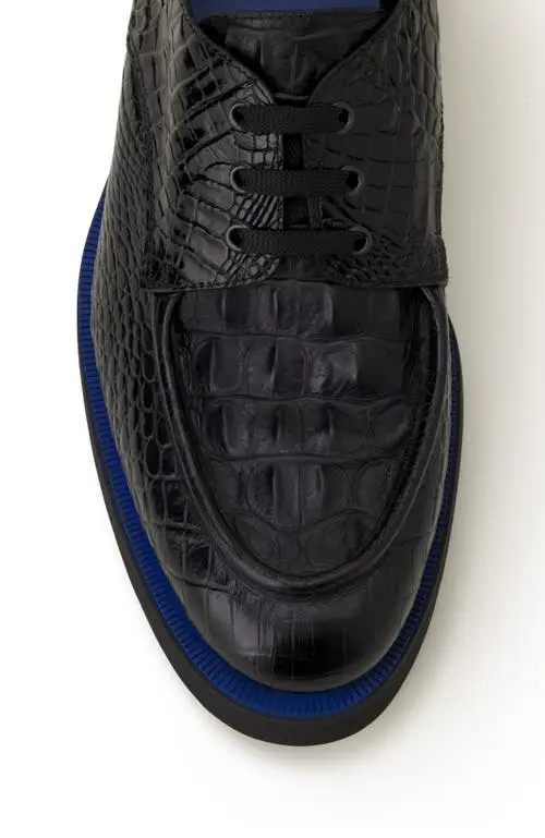 LANVIN Derby Shoes In Crocodile-embossed Leather