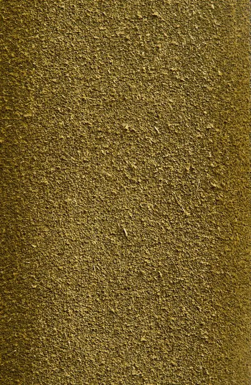 Nordstrom Suede Belt With Gold Tone Buckle - Olive- Silver