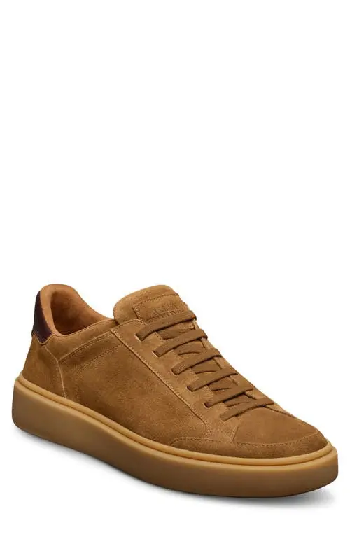 Allen Edmonds Oliver Sneaker - Cinnamon