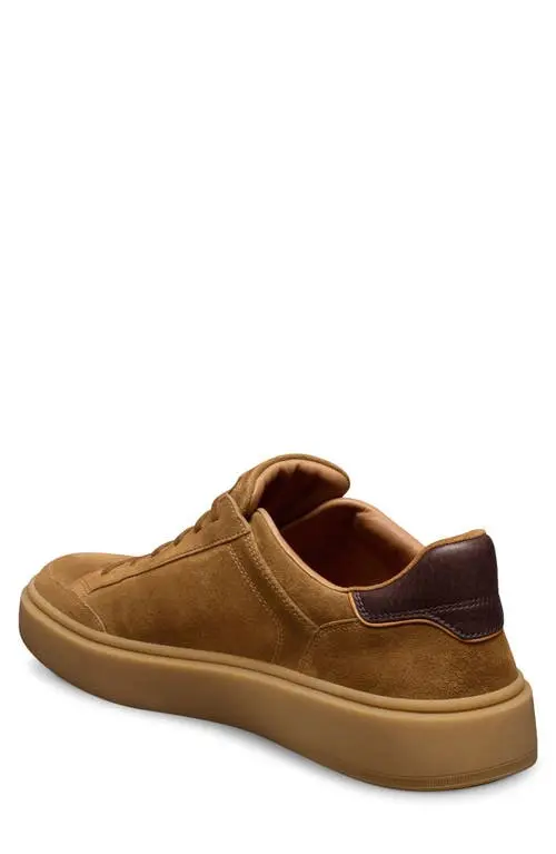 Allen Edmonds Oliver Sneaker - Cinnamon