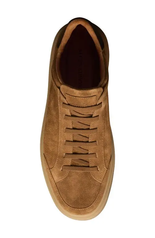 Allen Edmonds Oliver Sneaker - Cinnamon