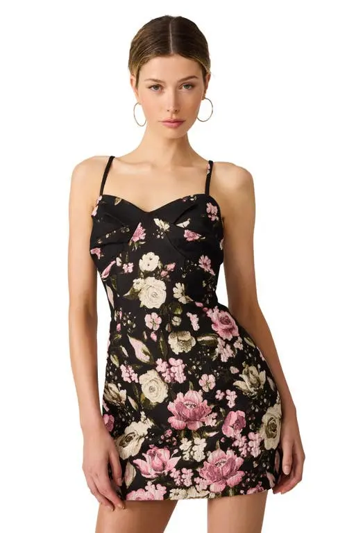 Steve Madden Lorrie Floral Jacquard Minidress
