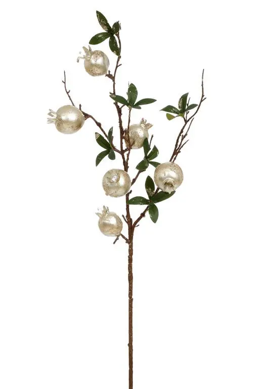 MARK ROBERTS Pomegranate Spray