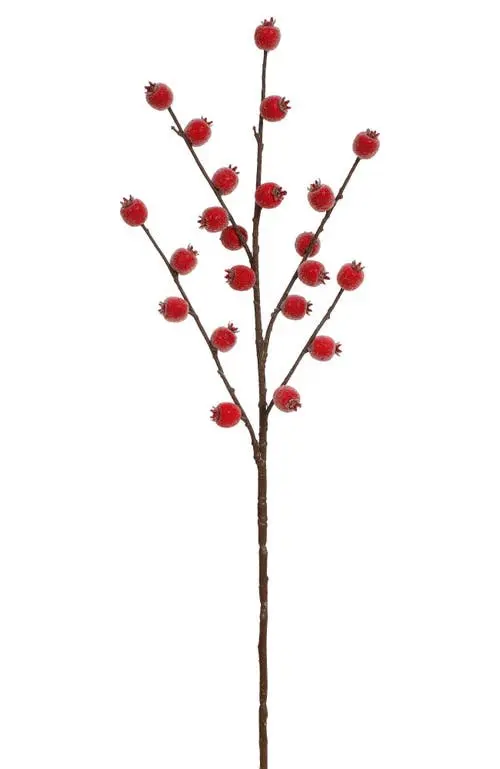 MARK ROBERTS Berry Spray
