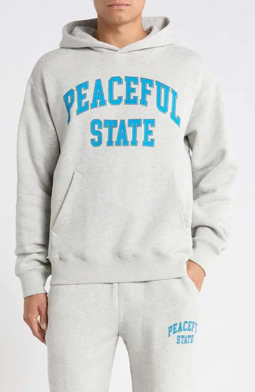 MUSEUM OF PEACE & QUIET Peaceful State Hoodie - Ash