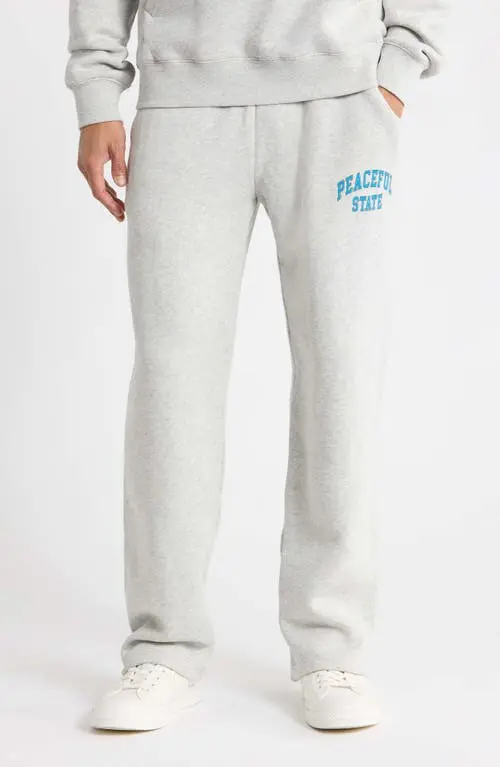 MUSEUM OF PEACE & QUIET Peaceful Cotton Fleece Sweatpants - Ash