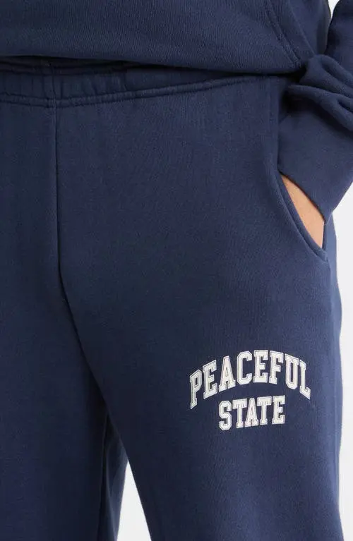 MUSEUM OF PEACE & QUIET Peaceful Cotton Fleece Sweatpants - Navy