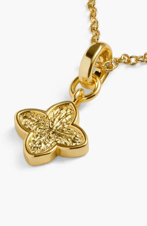 A LITTLES & CO Signature Clover Collection Ii