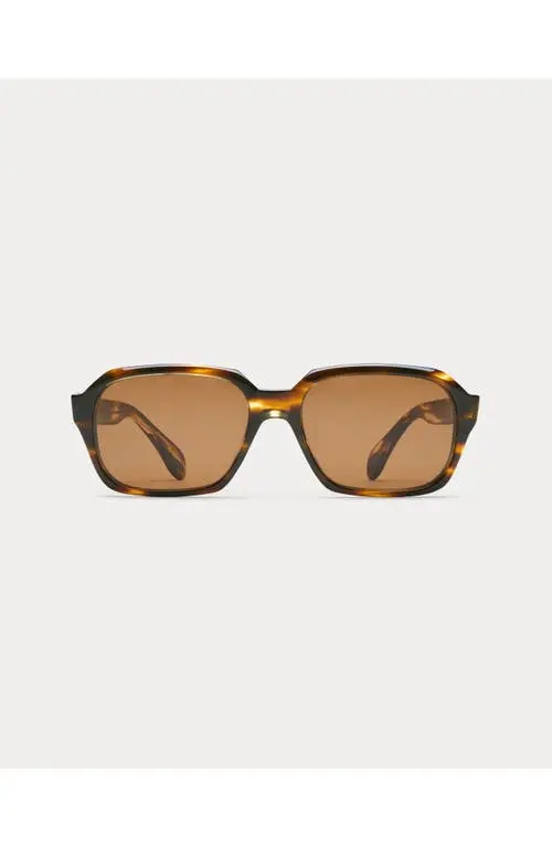 FORTELA Less Sunglasses - Brown