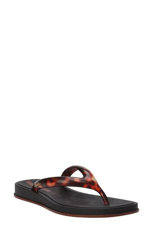 Ipanema Glow Trendy Flip Flop - Black/turtle/brown