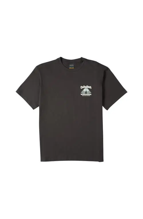 QUIKSILVER WATERMAN Sink Or Swim Tee