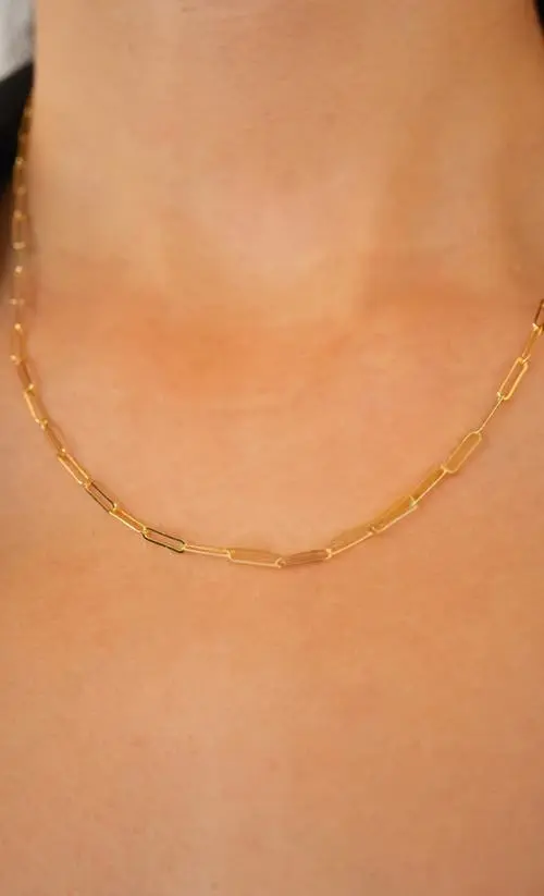 Argento Vivo Paperclip Chain Necklace