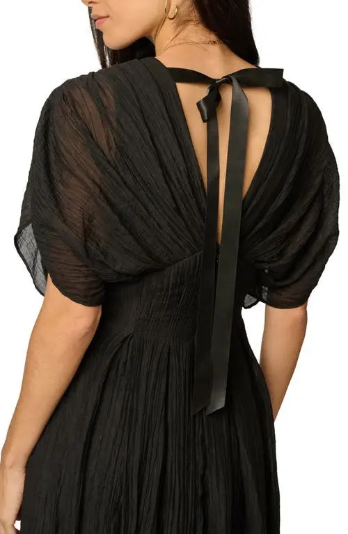 Adrianna Papell Organdy Crinkle Maxi Dress