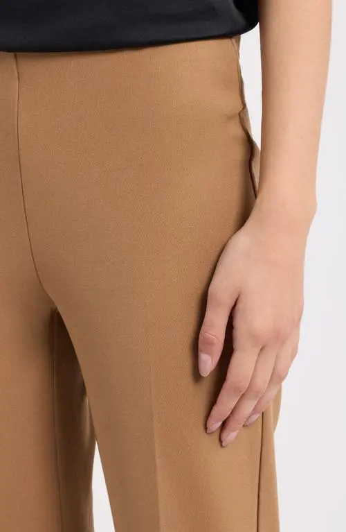 Anne Klein Hollywood Waist Straight Leg Pull-on Pants