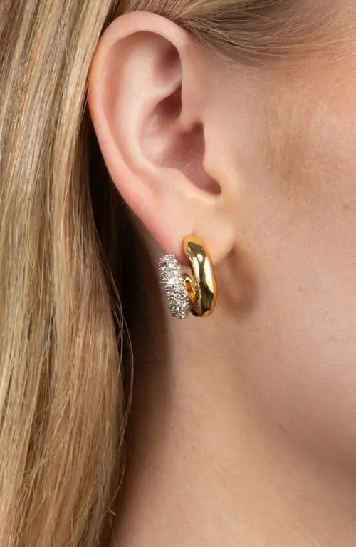 Alexis Bittar Solanales Crystal Double Hoop Earrings - Crystals