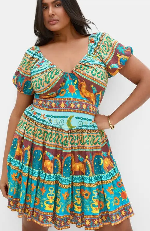 City Chic Amaria Print Flare Dress