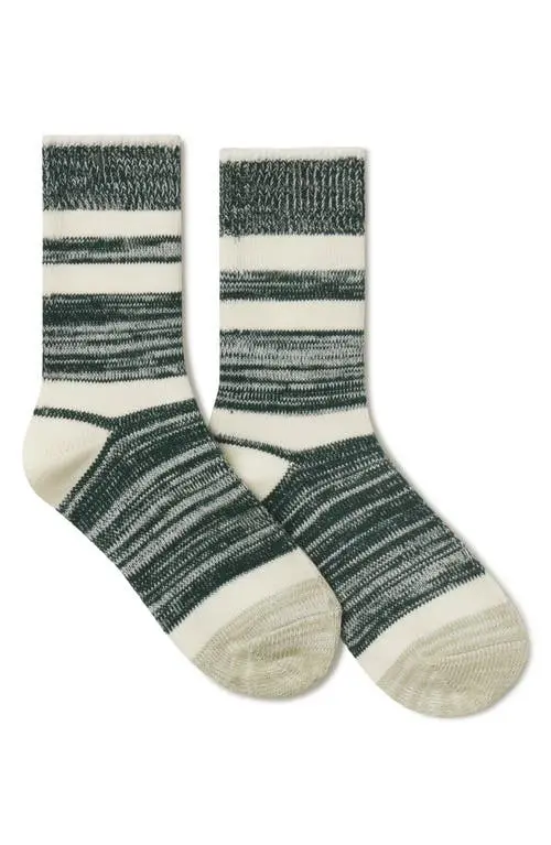 Eterne Heather Striped Socks - Forest