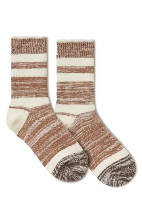 Eterne Heather Striped Socks - Mushroom