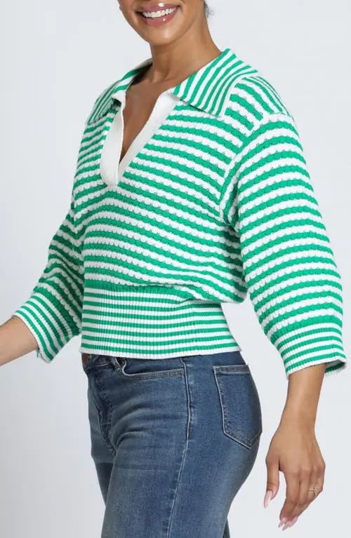 APNY V-neck Polo Sweater
