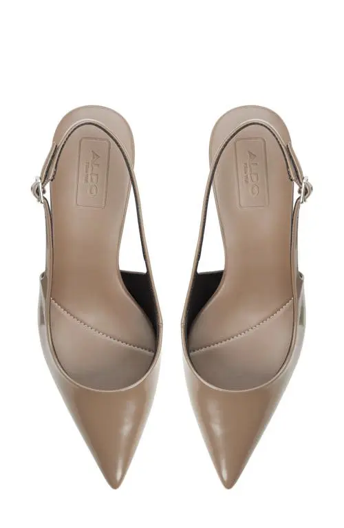 Aldo Sabbie Slingback Pointed Toe Pump