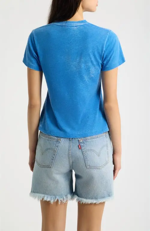 Daydreamer Doe Lodge Graphic Burnout Tee
