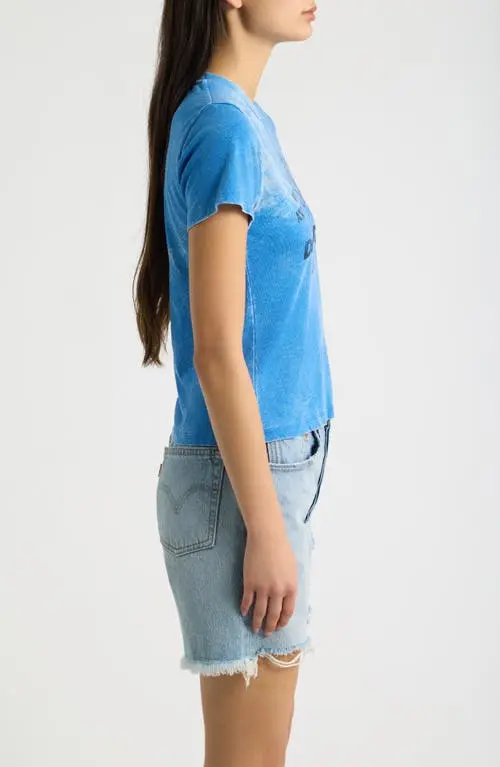 Daydreamer Doe Lodge Graphic Burnout Tee