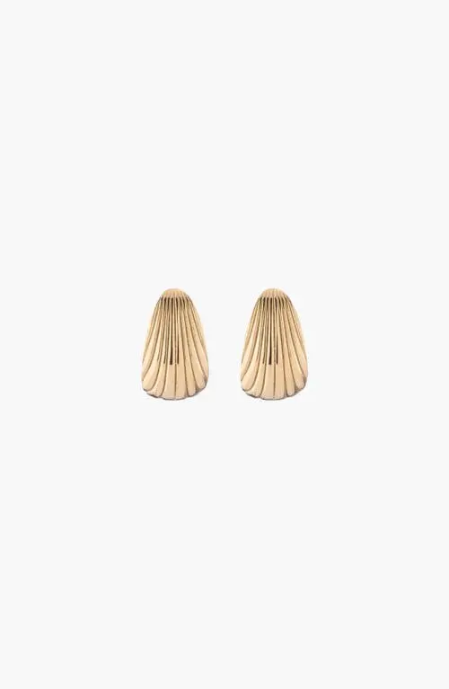 AURATE Shell Hinged Hoop Earrings