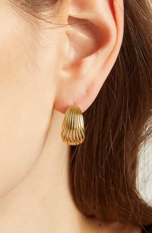 AURATE Shell Hinged Hoop Earrings