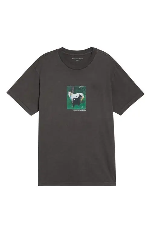 MUSEUM OF PEACE & QUIET Pasture Graphic T-shirt