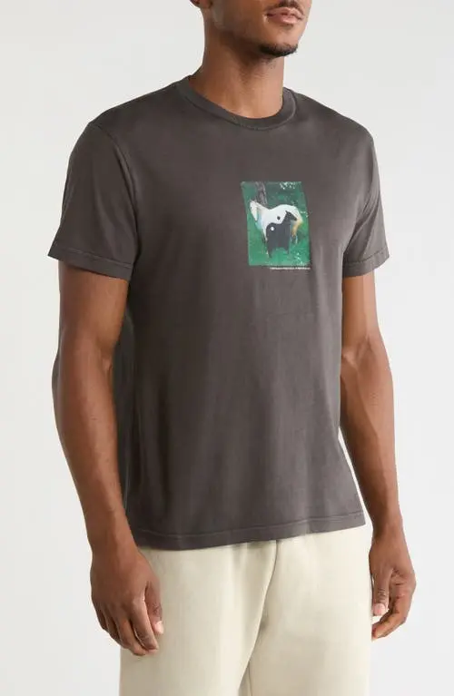 MUSEUM OF PEACE & QUIET Pasture Graphic T-shirt