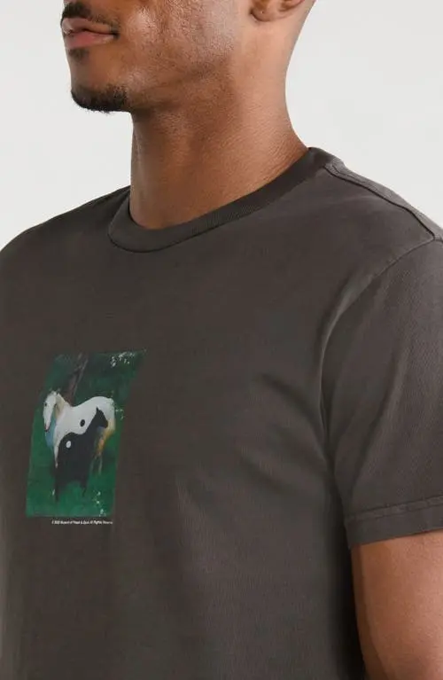 MUSEUM OF PEACE & QUIET Pasture Graphic T-shirt