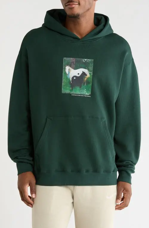 MUSEUM OF PEACE & QUIET Pasture Graphic Hoodie - Pine