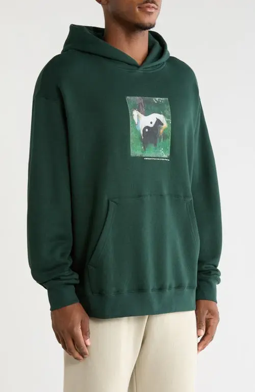 MUSEUM OF PEACE & QUIET Pasture Graphic Hoodie