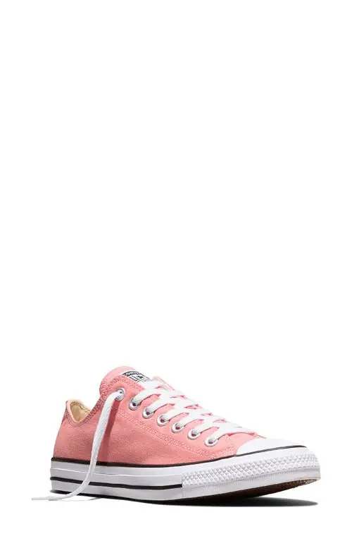 CONVERSE Chuck Taylor All Star Ox Sneakers - Ok Bloomer