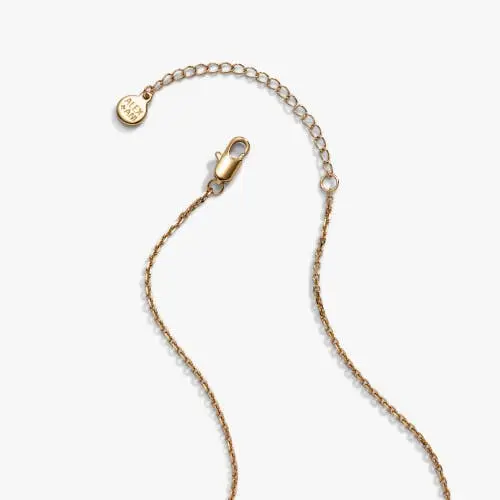 ALEX AND ANI Caramel Apple Dip Slider Necklace