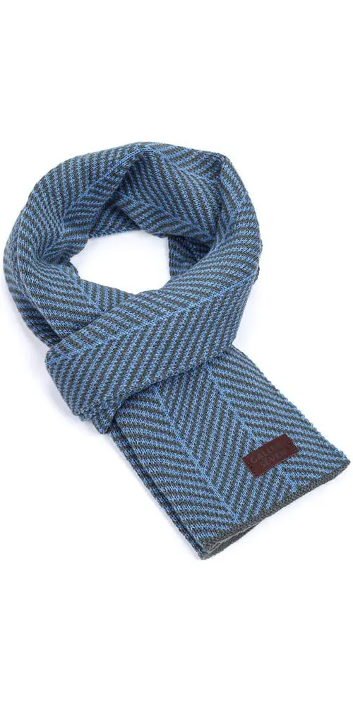 GALLERY SEVEN Herringbone Soft Knit Scarf - Gray/blue