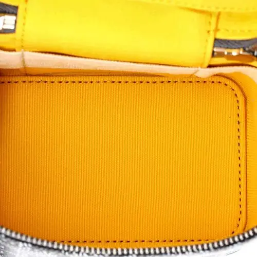 Goyard Muse Vanity Case Coated Canvas Nano