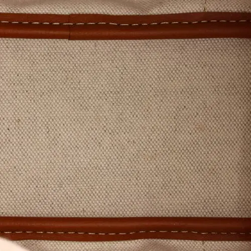 Goyard Beluga Bag Coated Canvas Mini